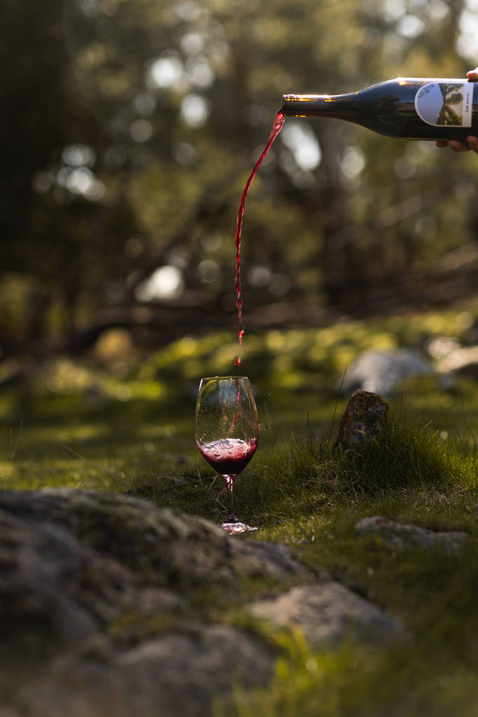 2022 Pohlman’s Creek Field Blend – ECK Wines